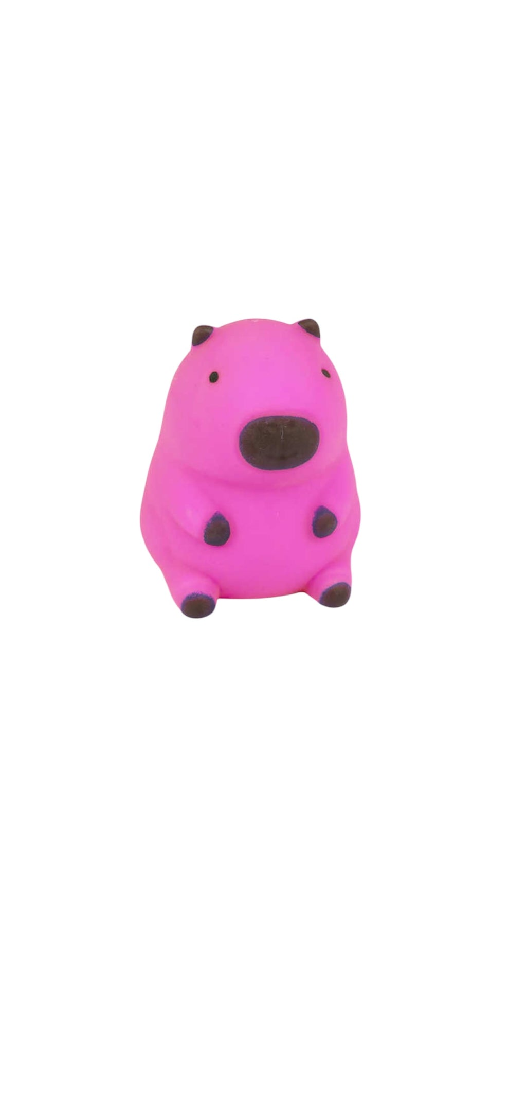 Fidget squeezy Capybara – Chris Toys and Fidgets